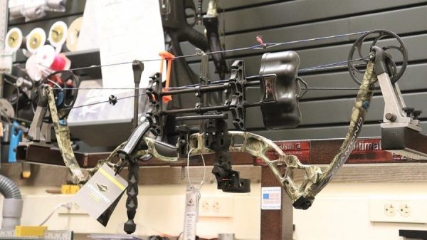 How To Tell if a Compound Bow is Left or Right Handed – BowAddicted