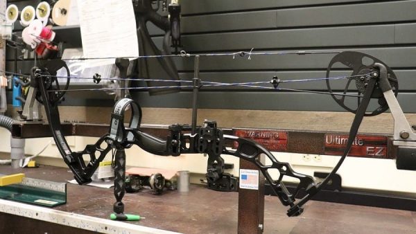 Diamond Archery Infinite Edge Pro Hands-On Review [currentyear ...