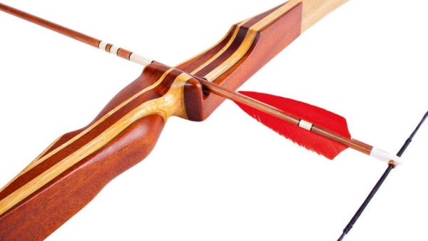 Samick Sage Bow Review [currentyear] – BowAddicted