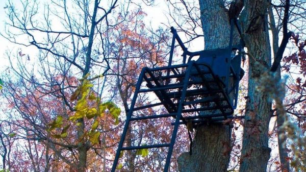 The Best Tree Stand Safety Harness – BowAddicted