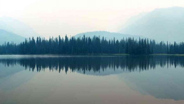 Mathews Creed XS Compound Bow Specs – BowAddicted