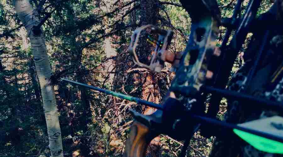 The Best Deer Scent Attractant - BowAddicted