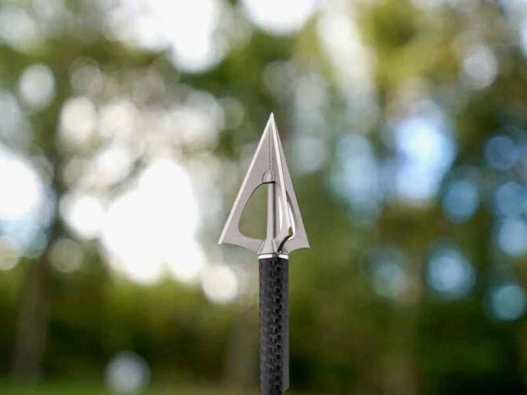 Best Broadheads For Elk Hunting [currentyear] – BowAddicted